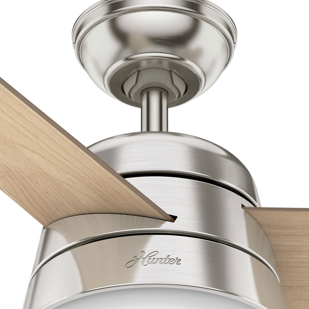 Hunter Fan Hunter Deckenenventilator Finley 91cm Nickel gebürstet | Amerikanischer Nussbaum ...