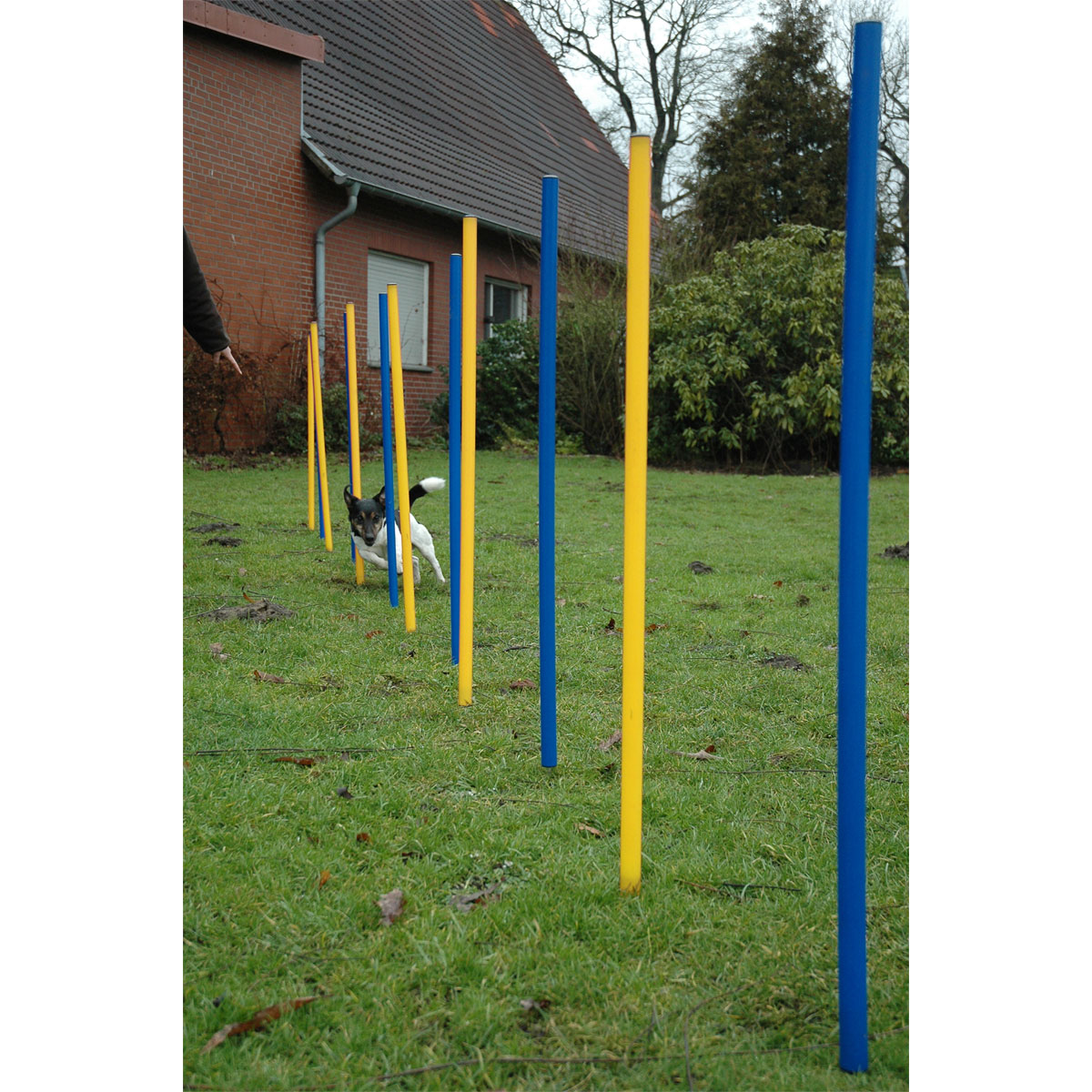 dobar Agility Slalom-Set 3 x 3 x 110 cm blau/gelb 12-teilig | K000540358